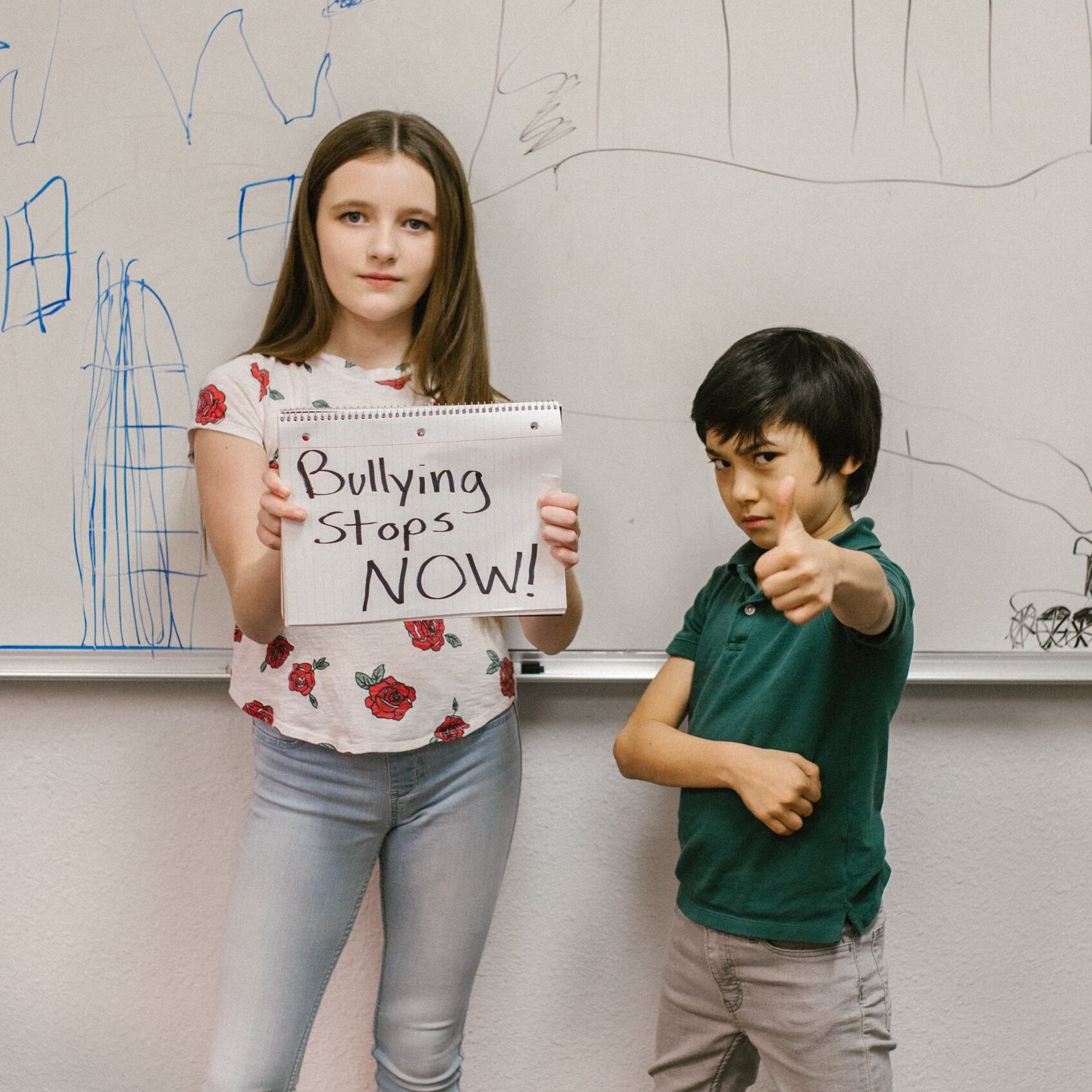 Verbal Bullying In Schools Addressing Persistent Bullying In Schools